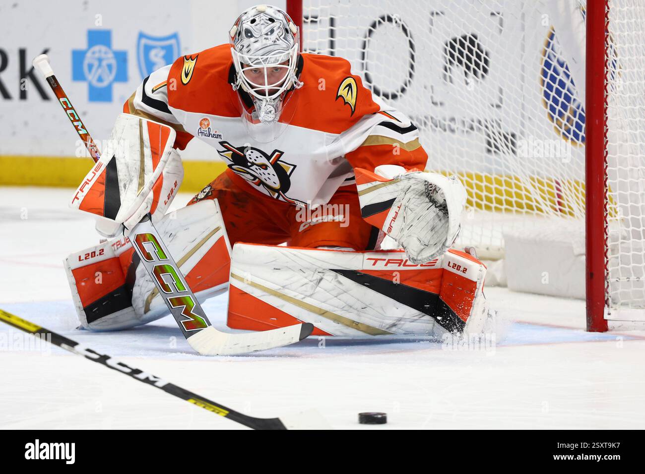 Anaheim Ducks goaltender Lukas Dostal (1) watches the puck during the ...