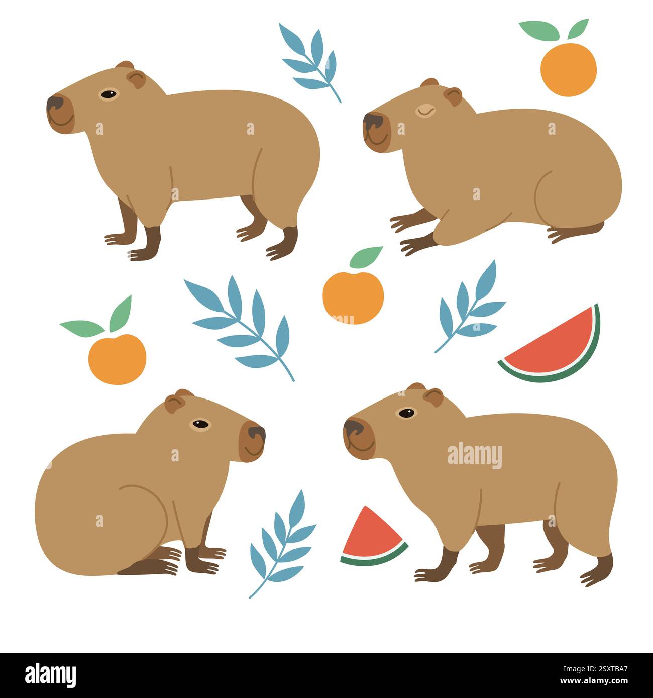 Cute capybara in various positions isolated on white background. Vector ...
