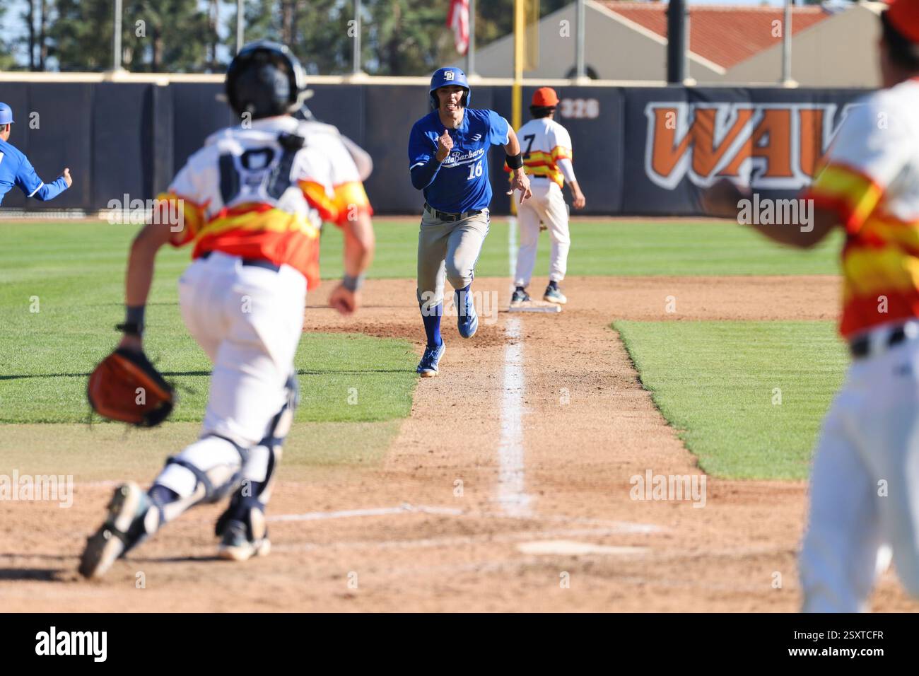 UC Santa Barbara Corey Nunez (16) runs home during an NCAA baseball ...