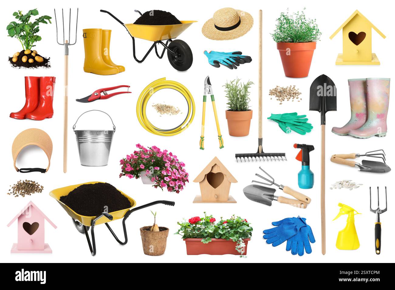 Set of different gardening tools and plants isolated on white Stock ...