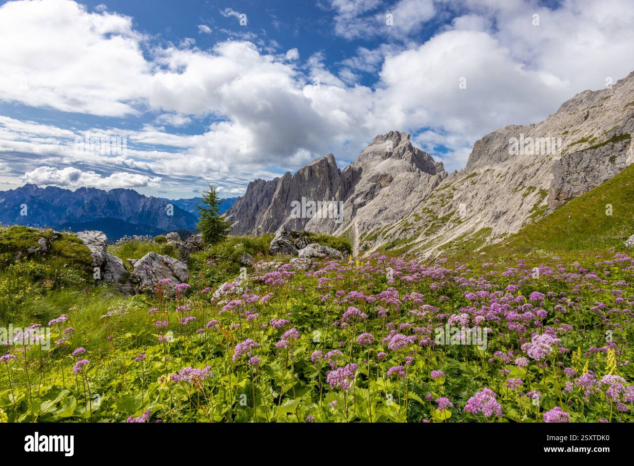 Dolomites mountains beautiful landscape of the Alps in Italy. Dolomiti ...