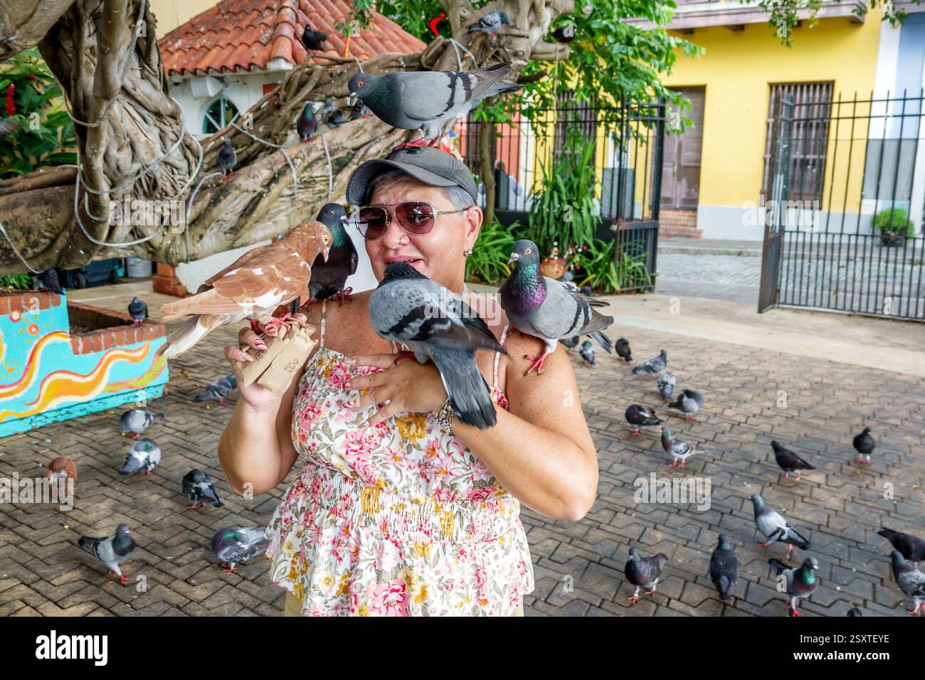 San Juan Puerto Rico,Viejo Old San Juan,Calle Cristo,Parque de las Palomas,Pigeon Park,Hispanic ...