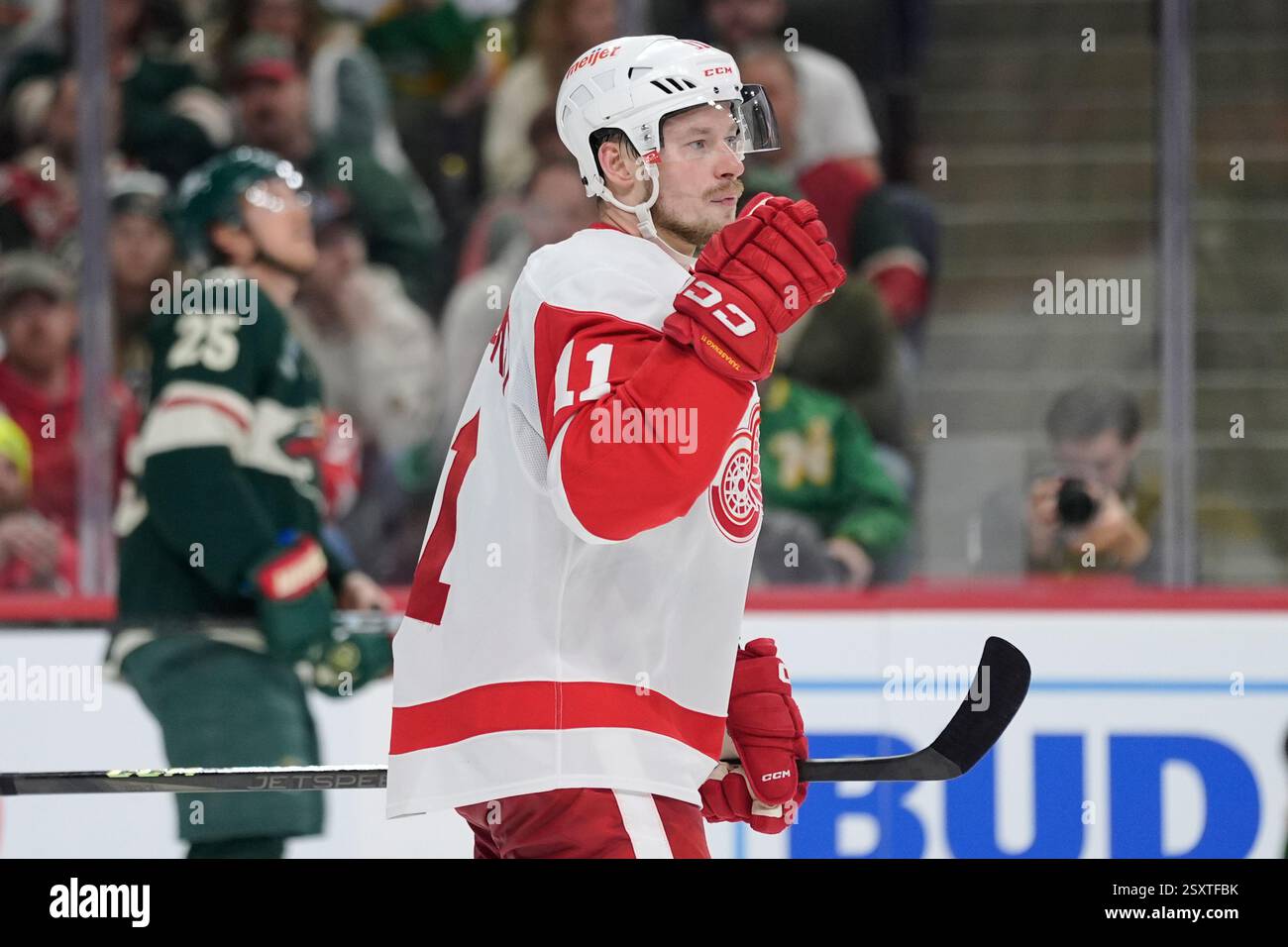 Detroit Red Wings right wing Vladimir Tarasenko (11) celebrates after ...