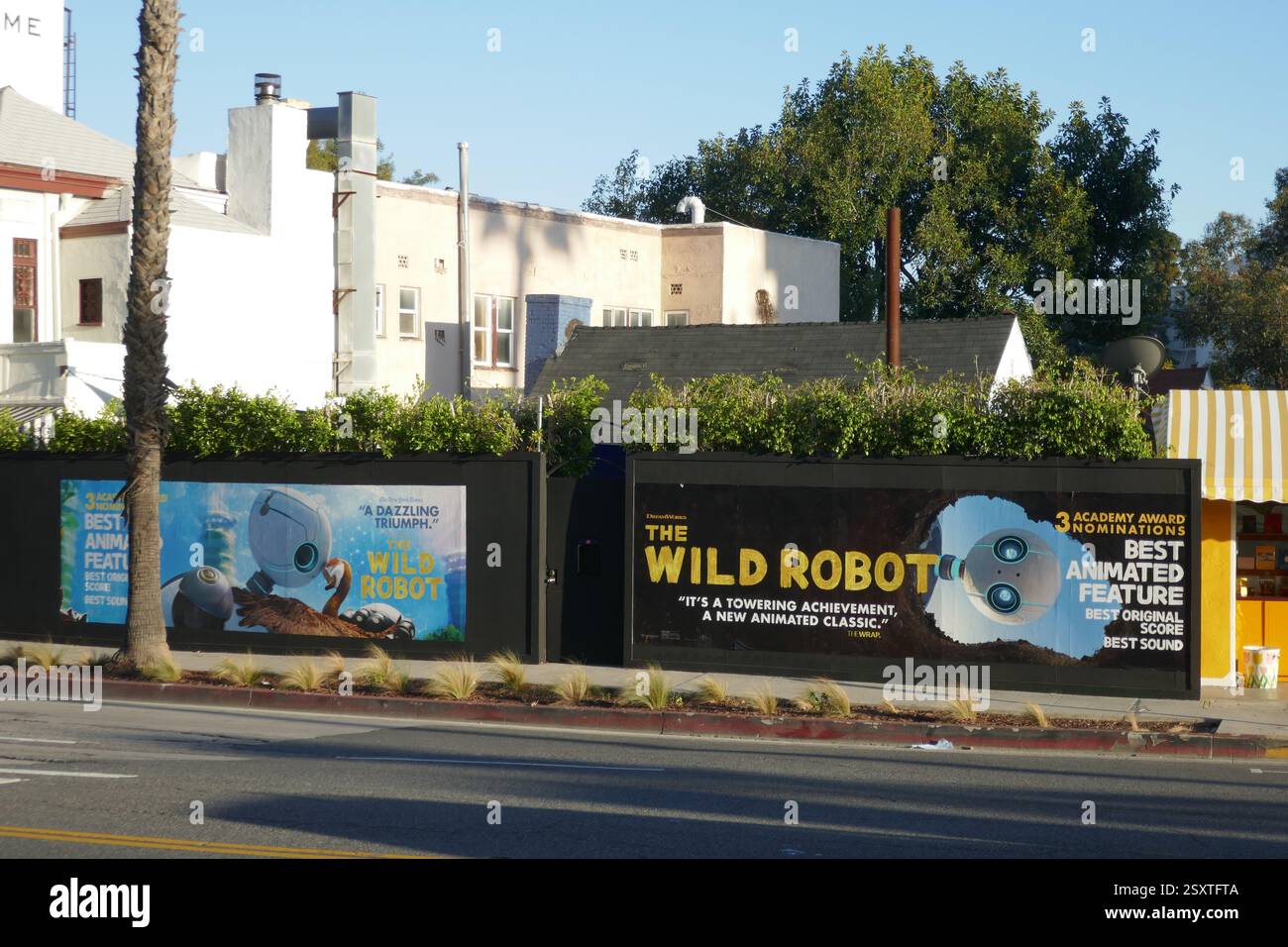 Los Angeles, California, USA 24th February 2025 The Wild Robot ...