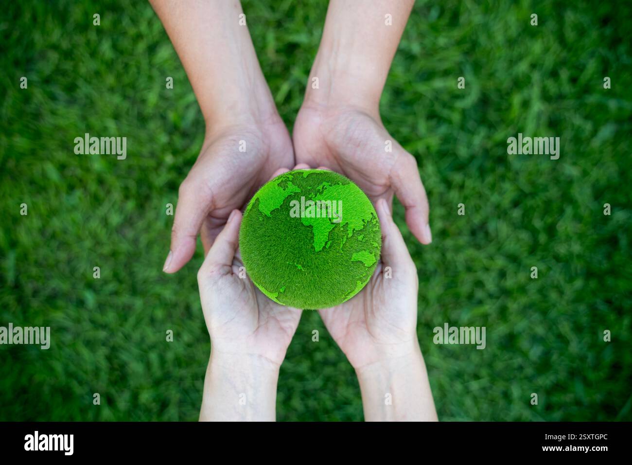 Environment Earth Day In the hands holding green earth on Bokeh green ...