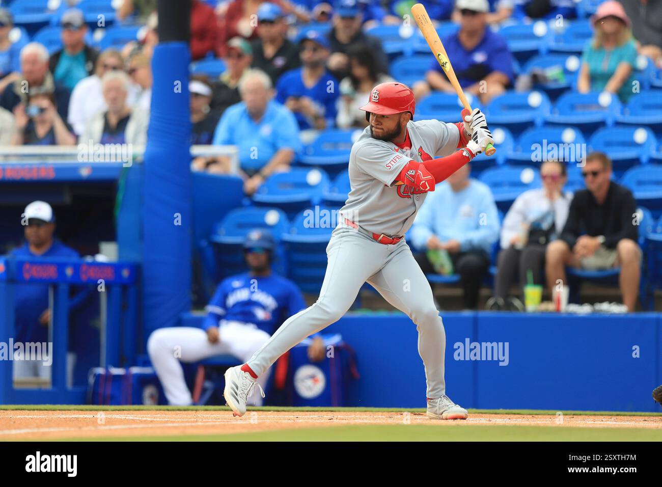 DUNEDIN, FL - FEBRUARY 25: St. Louis Cardinals Outfielder Victor Scott ...