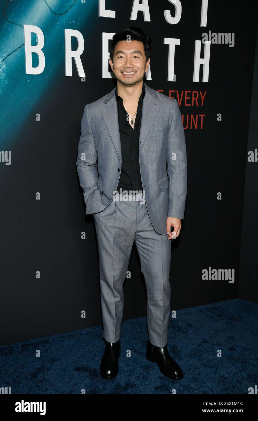 Simu Liu attends the premiere of Focus Features' "Last Breath" at AMC ...