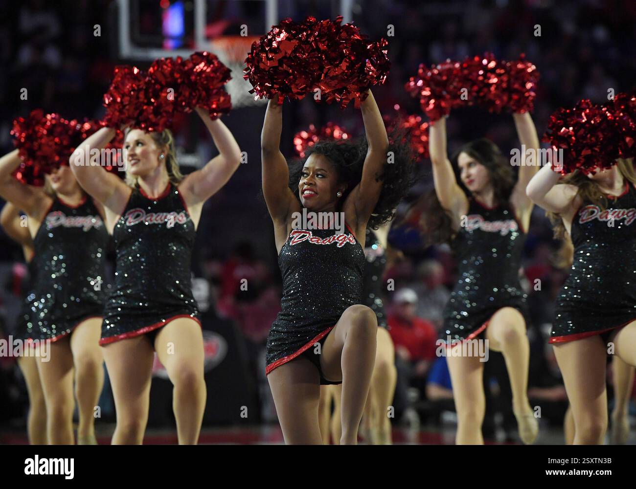 ATHENS, GA - FEBRUARY 25: A member of the Georgia Bulldogs Dance Dawgs ...