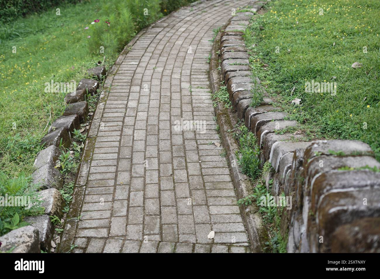 paving block road in the park Stock Photo - Alamy