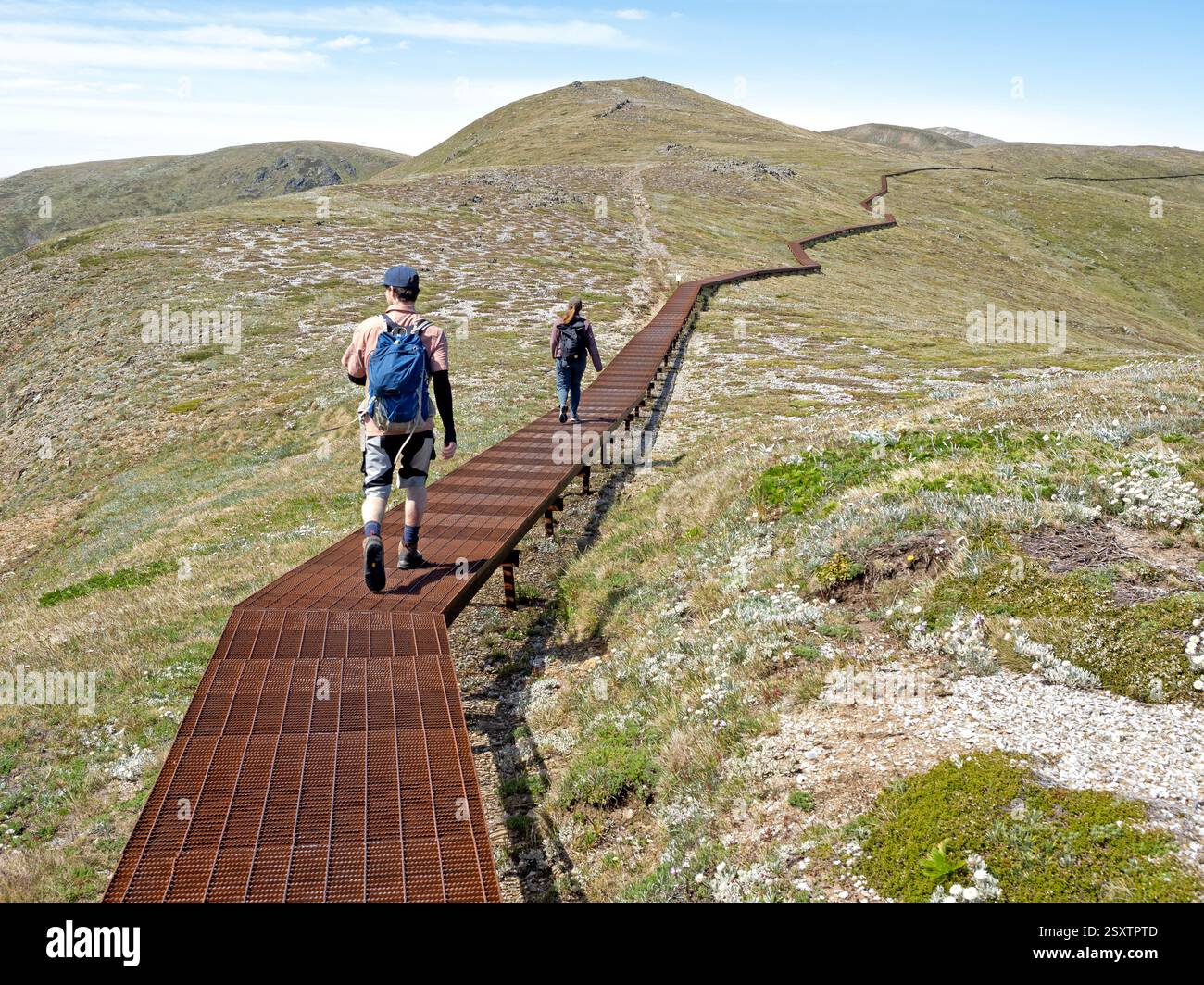 Hikers on metal boardwalk on the Main Range, part of the Snowies Alpine ...