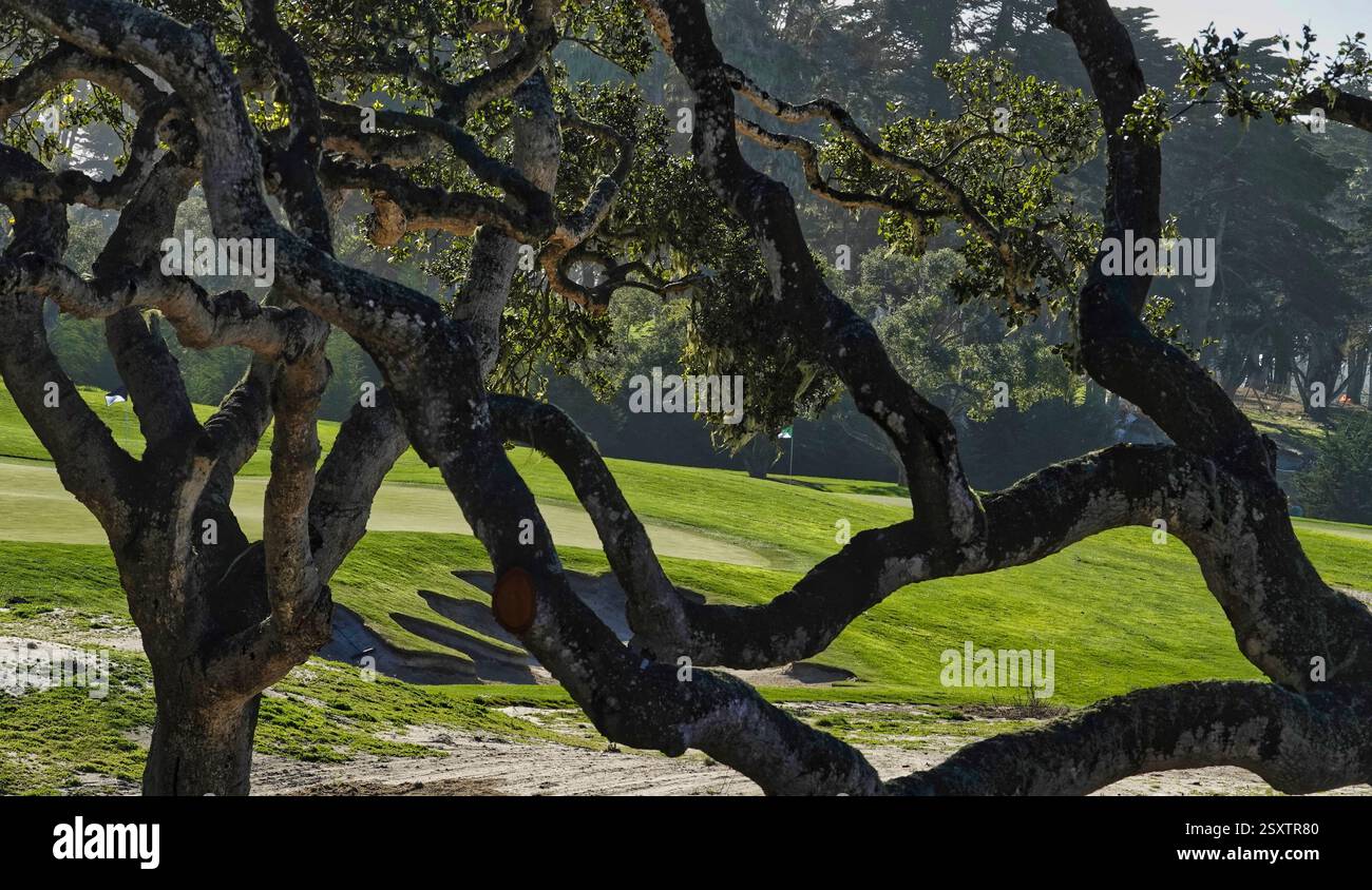 Seaside, California, USA 5th December, 2024 General view over the 5th ...