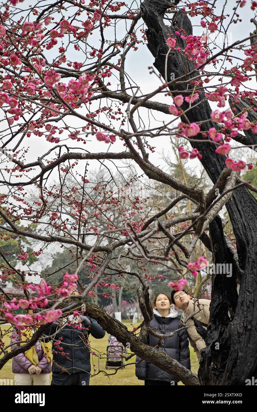 **CHINESE MAINLAND, HONG KONG, MACAU AND TAIWAN OUT** A 600-year-old ...