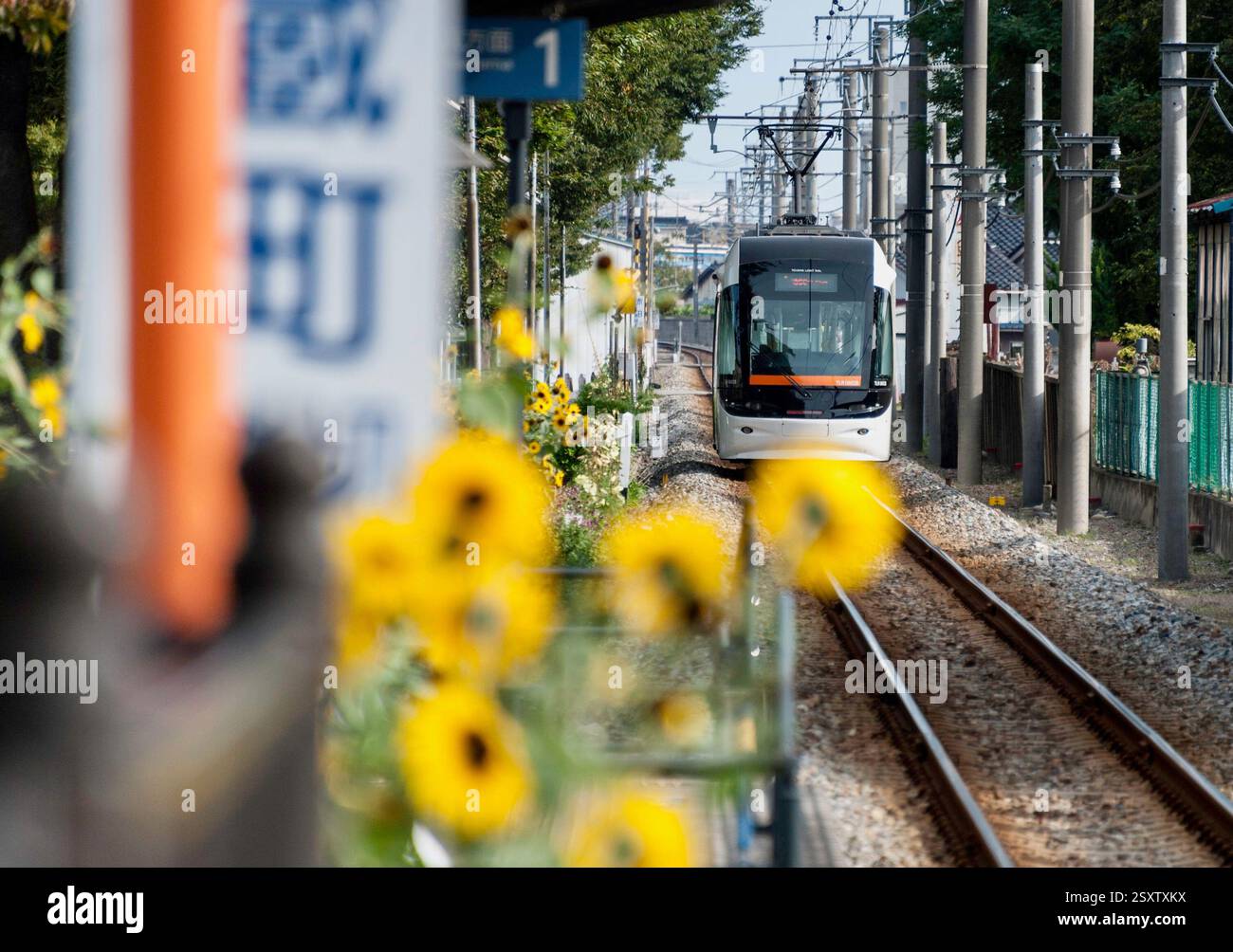 A street-car cruises the streets of central Toyama City, Toyama ...