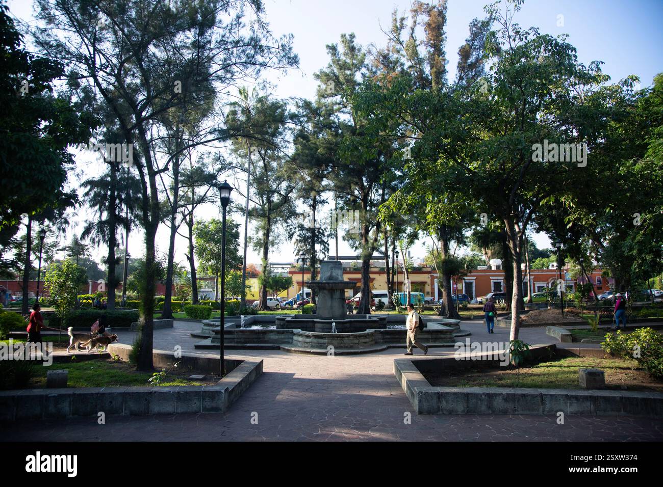Oaxaca, Mexico; 1st January 2025: Park Jardin Conzatti in the city of ...