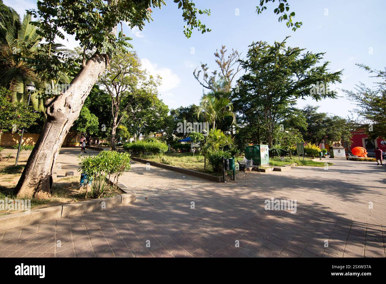 Oaxaca, Mexico; 1st January 2025: Juarez el LLano Park in the city of ...