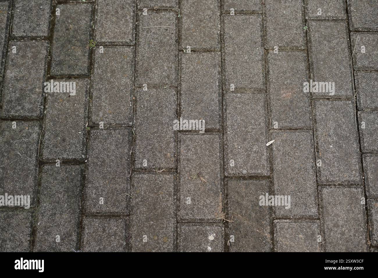 abstract paving block forming lines Stock Photo - Alamy