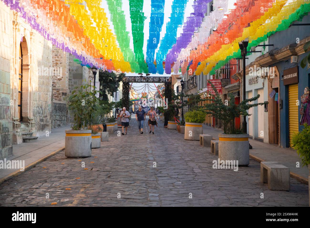 Oaxaca, Mexico; 1st January 2025: Colorful and beautiful residential ...