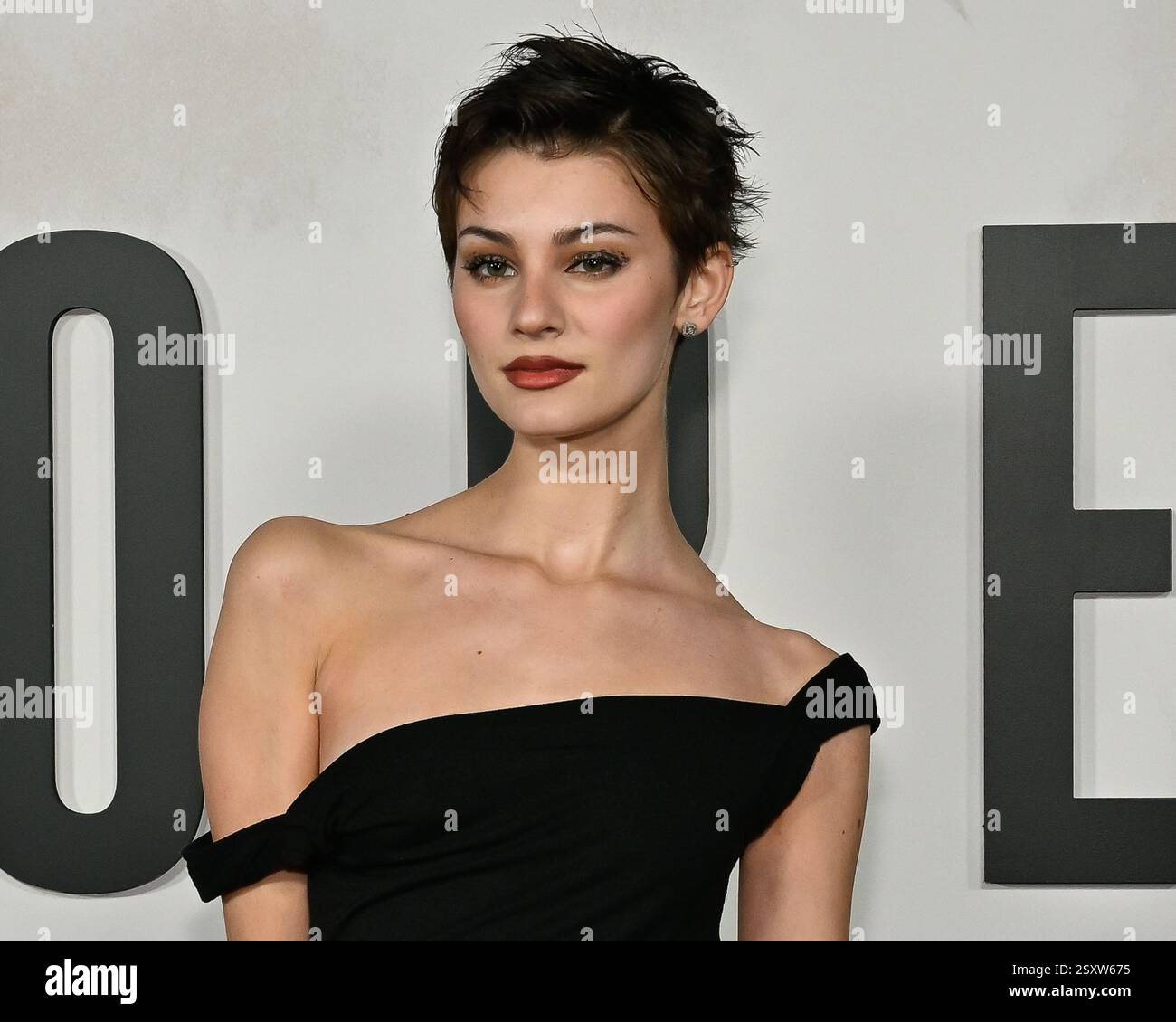 New York, USA. 25th Feb, 2025. Bec Lauder attends the premiere of Dope ...