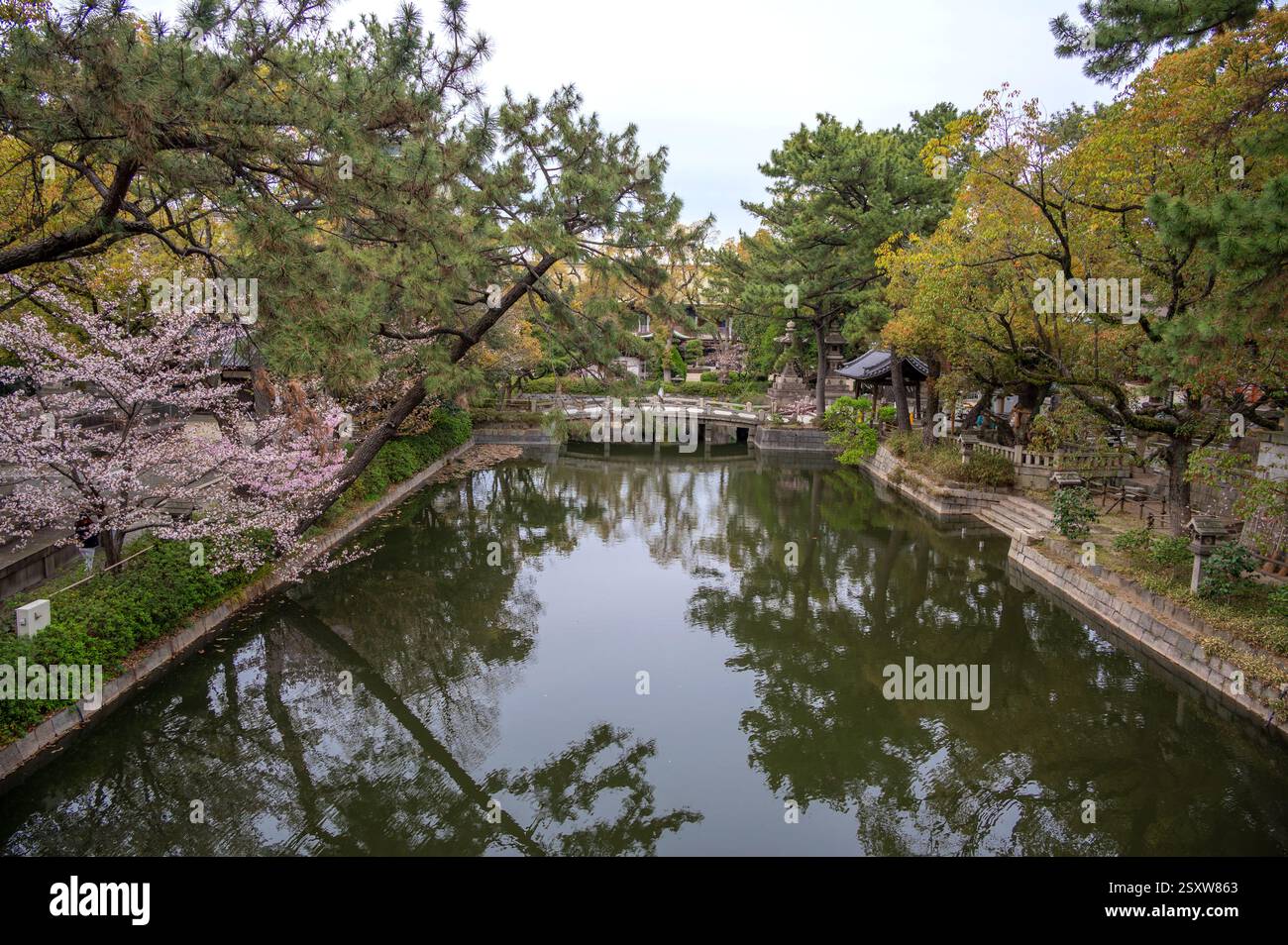 View of the bridge over a pond in the garden inside the Sumiyoshi ...