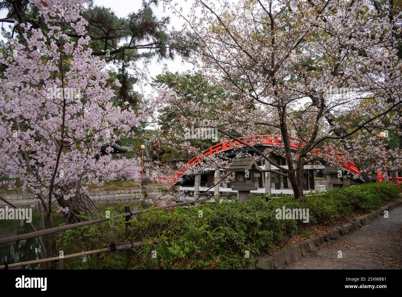 View of the taiko bashi bridge during the Sakura season inside the ...