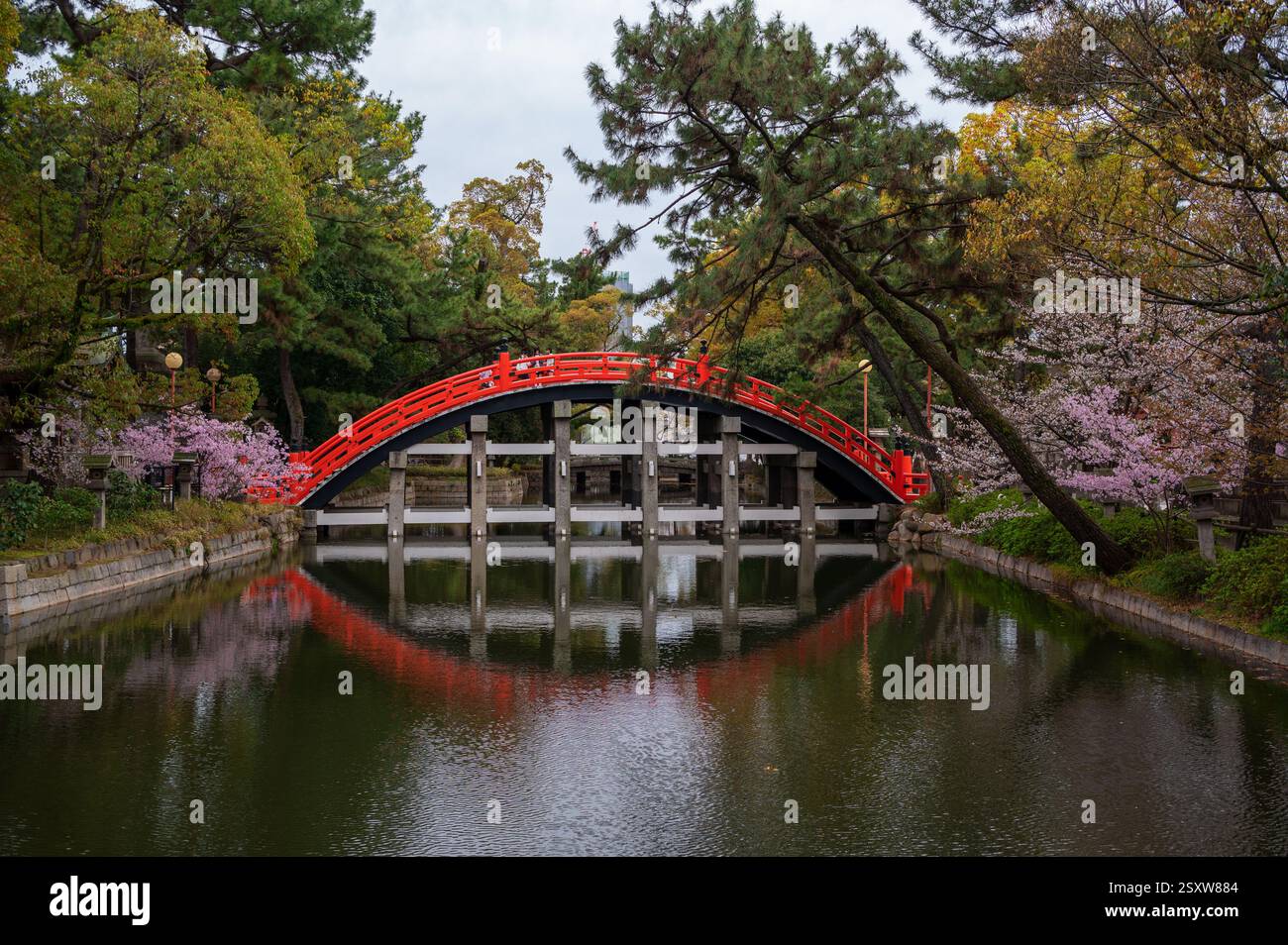 View of the taiko bashi bridge during the Sakura season inside the ...