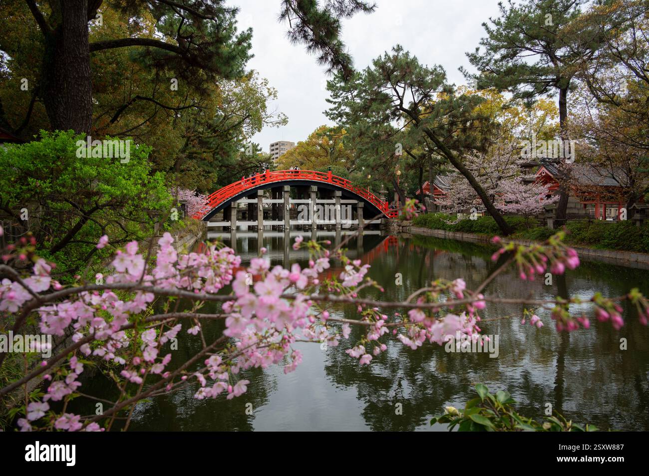 View of the taiko bashi bridge during the Sakura season inside the ...