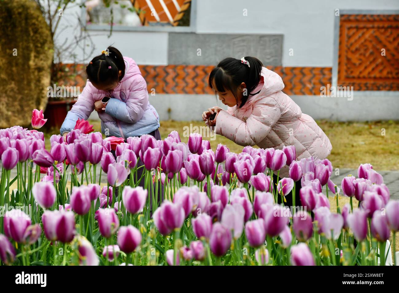 **CHINESE MAINLAND, HONG KONG, MACAU AND TAIWAN OUT** People admire ...