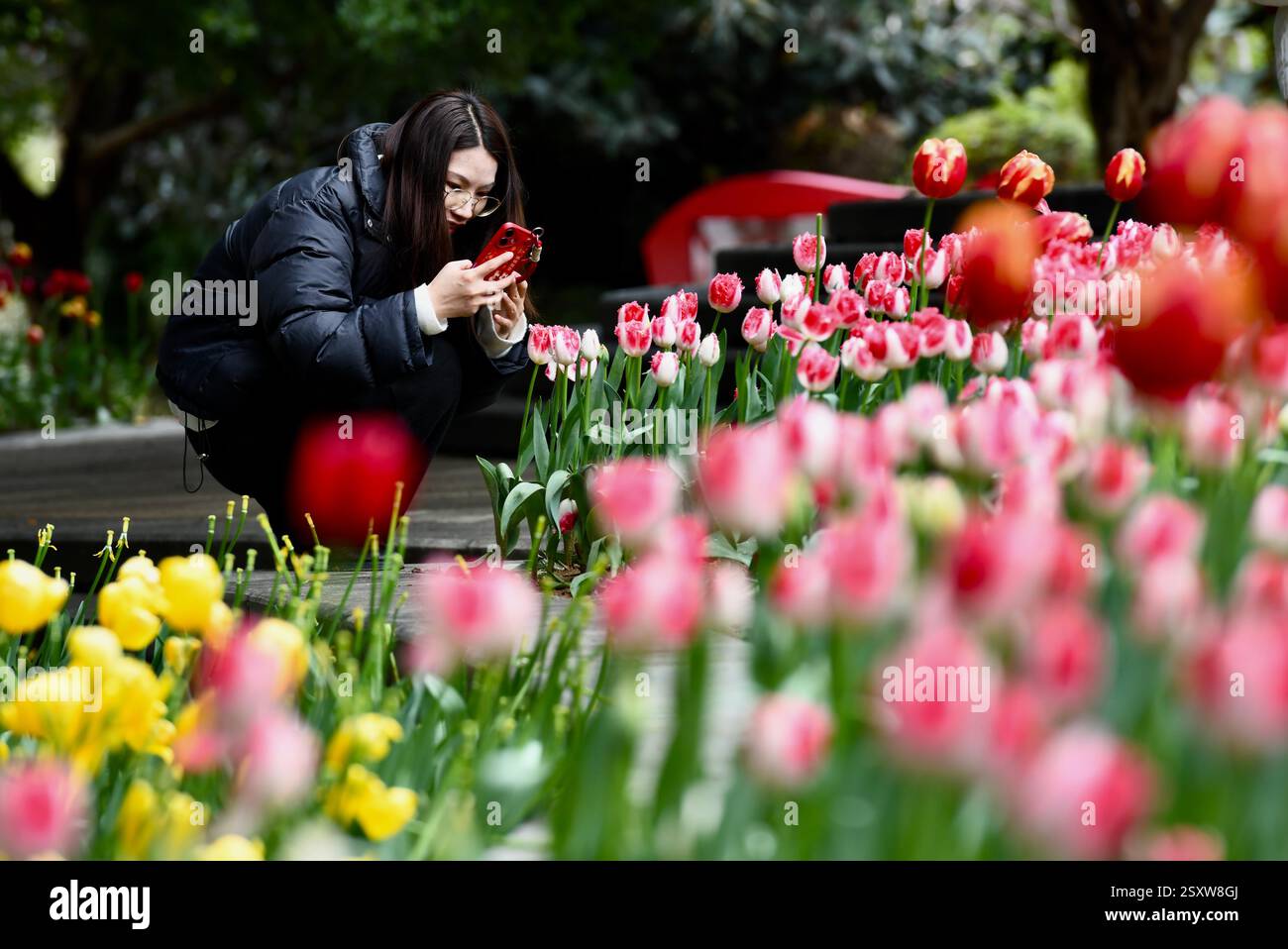 **CHINESE MAINLAND, HONG KONG, MACAU AND TAIWAN OUT** People admire ...