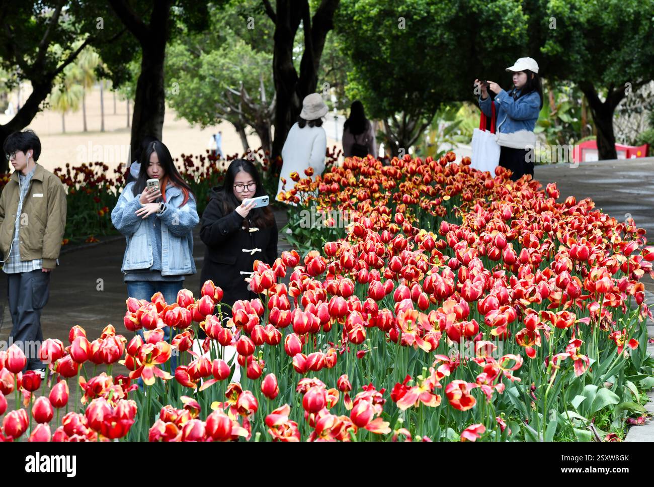 **CHINESE MAINLAND, HONG KONG, MACAU AND TAIWAN OUT** People admire ...