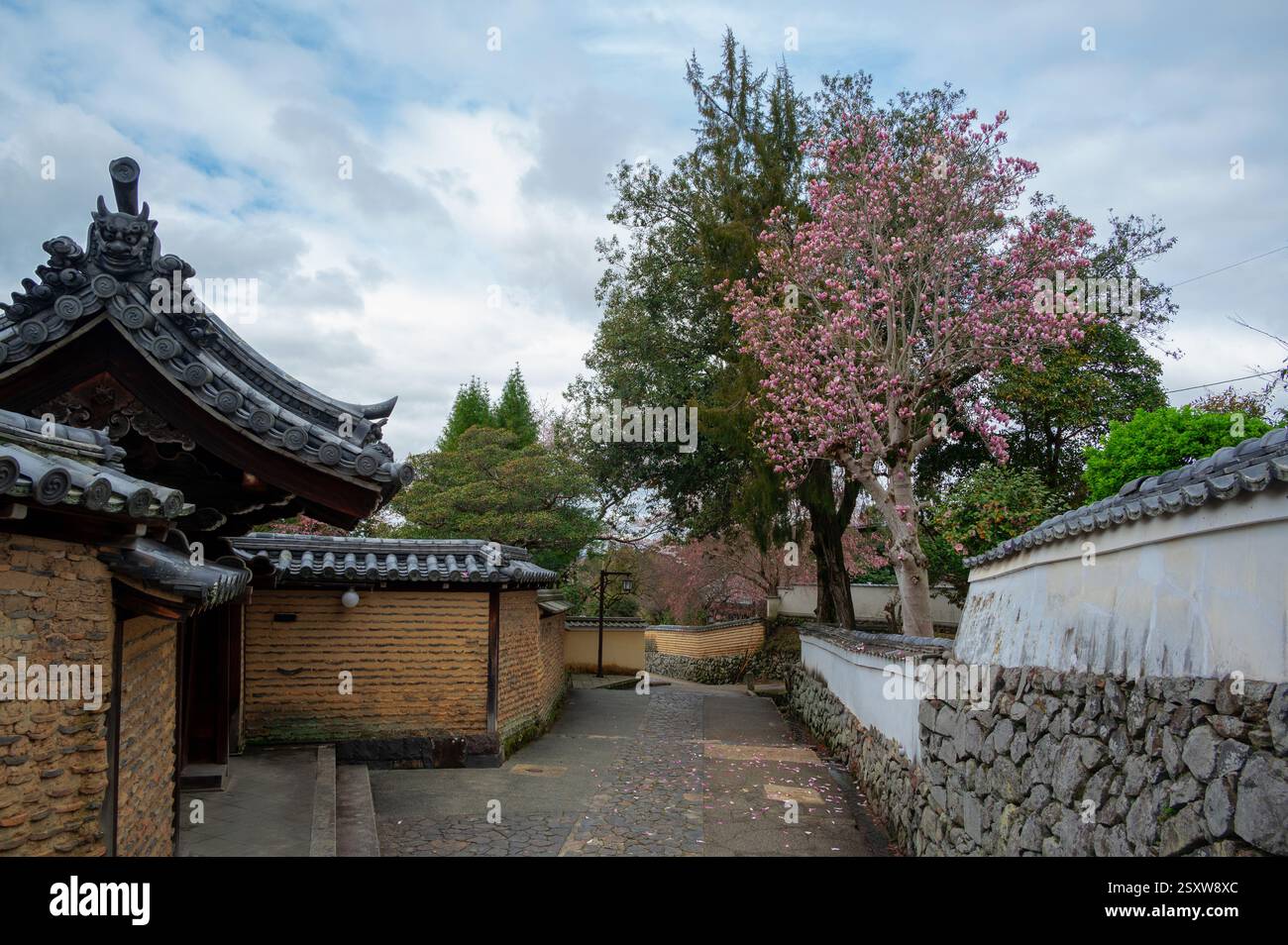 View of the temple complex of Nara, Japan Stock Photo - Alamy