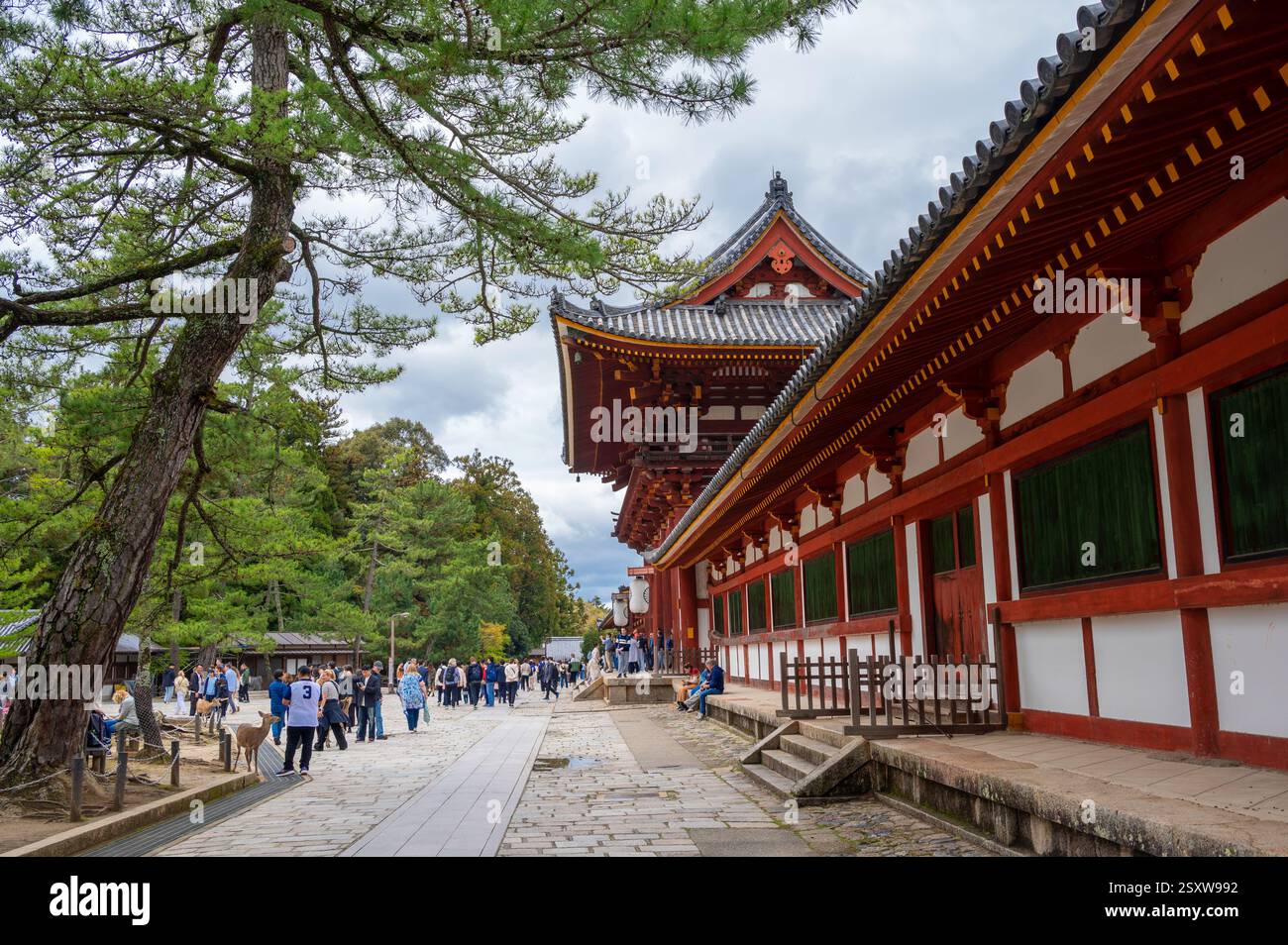 View of the Todaiji Temple complex in Nara, one of the most important ...