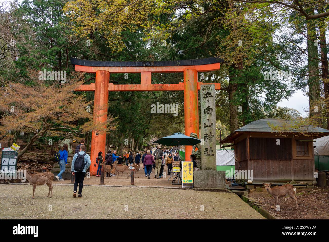 View of a torii gate inside the Todaiji Temple complex in Nara, one of ...