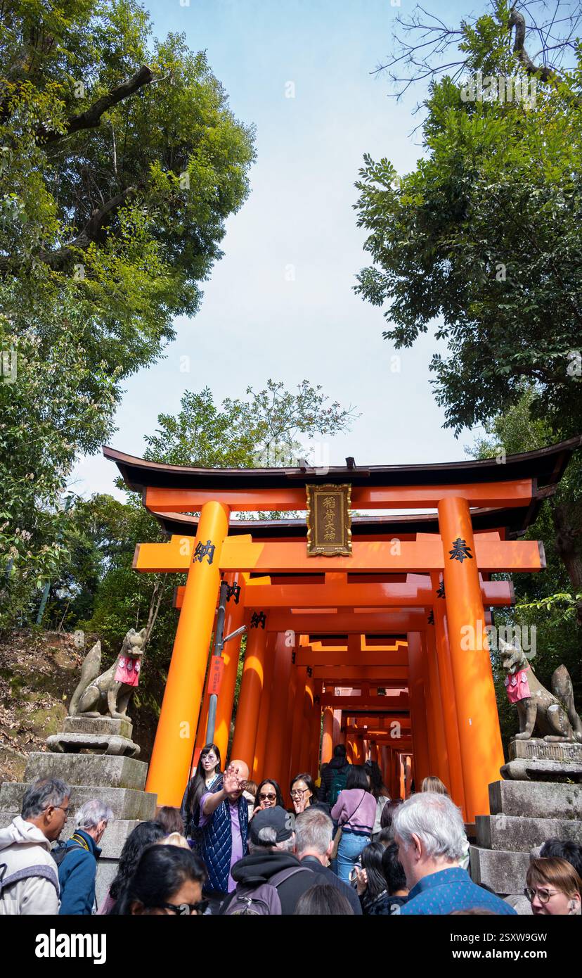 . View of the vermilion torii gates at the Fushimi Inari, an important ...