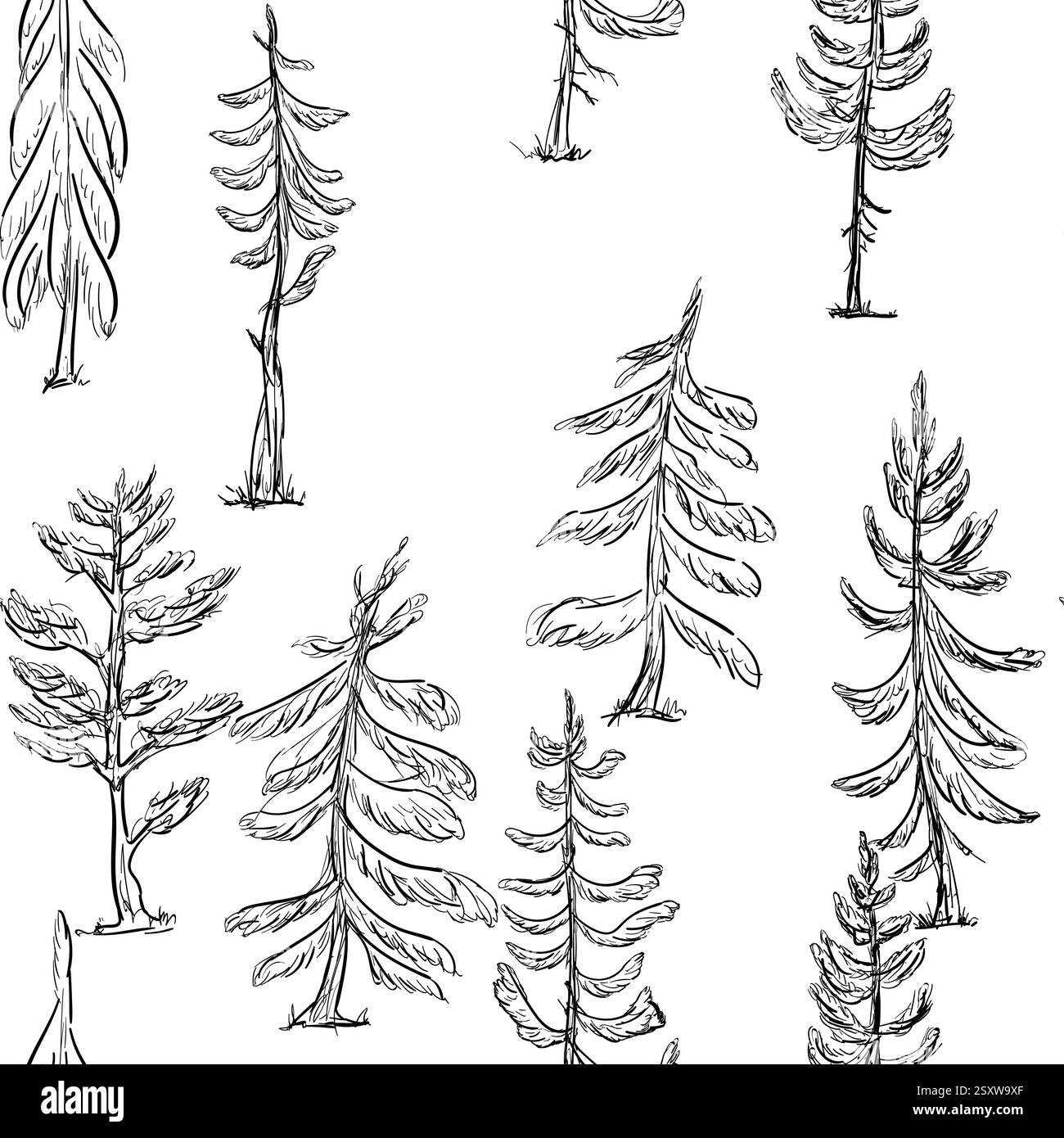 A Seamless Pattern featuring outline sketch spruce and pine Trees ...