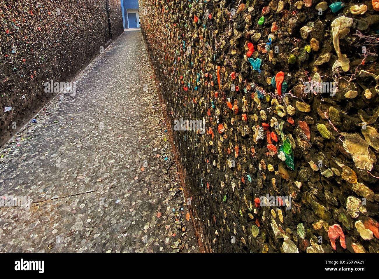 San Luis Obispo, Slo County, California, USA. 18th February, 2025 ...