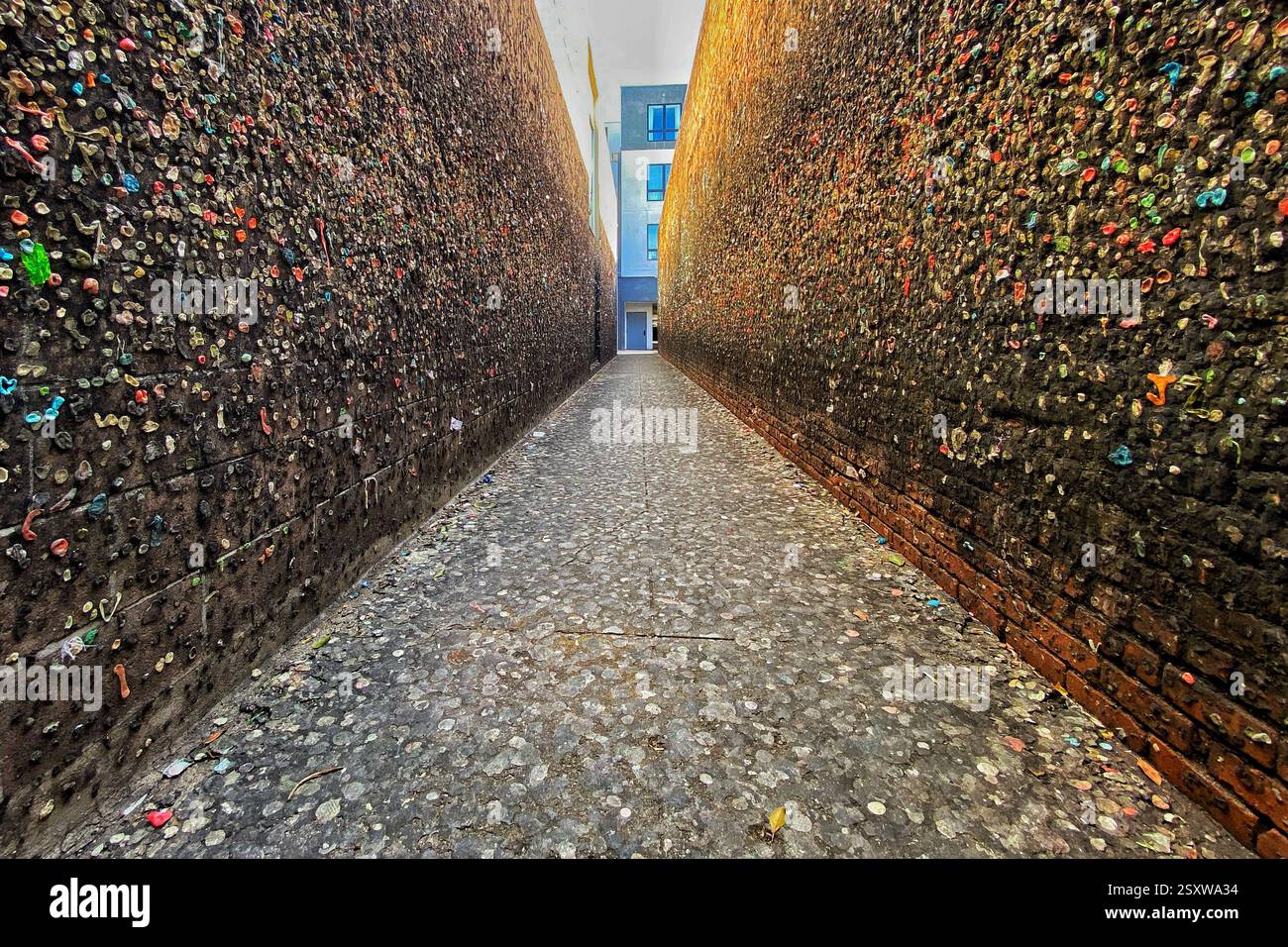 San Luis Obispo, Slo County, California, USA. 18th February, 2025 ...