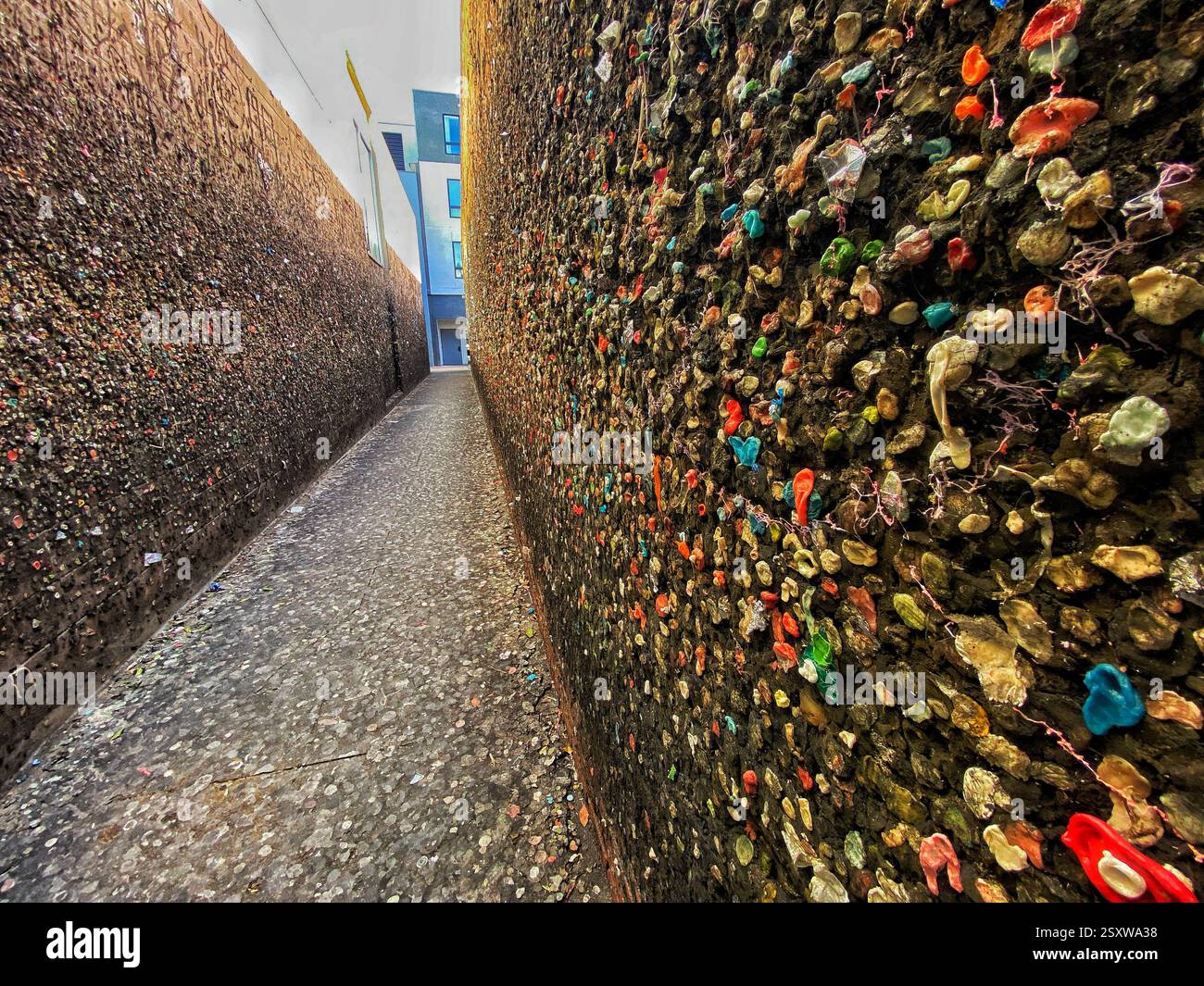 San Luis Obispo, Slo County, California, USA. 18th February, 2025 ...