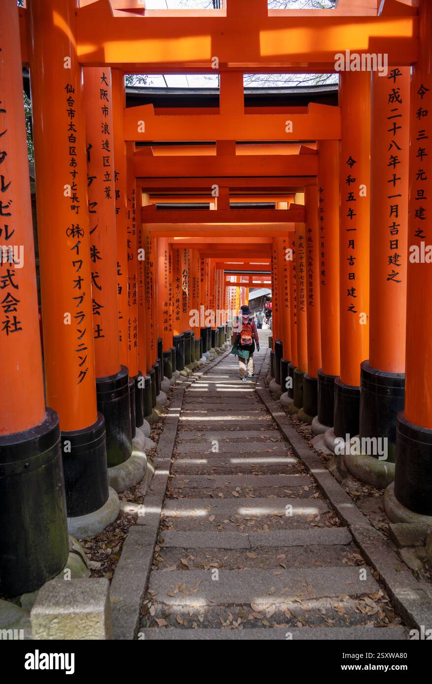 . View of the vermilion torii gates at the Fushimi Inari, an important ...