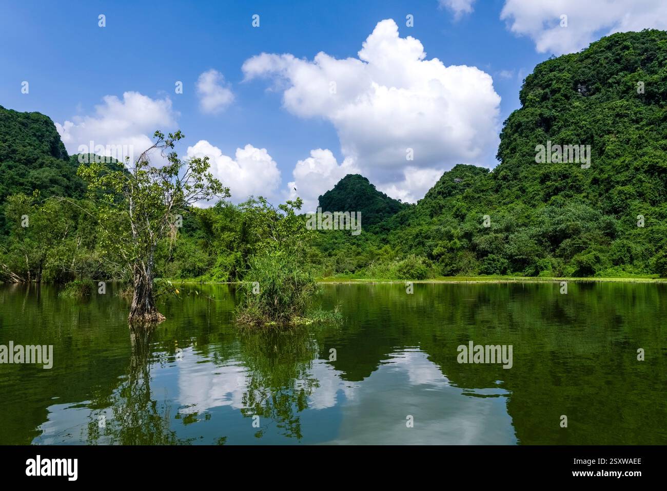 Green hilly landscape in the Bird Park Thung Nham, part of the Tràng An ...