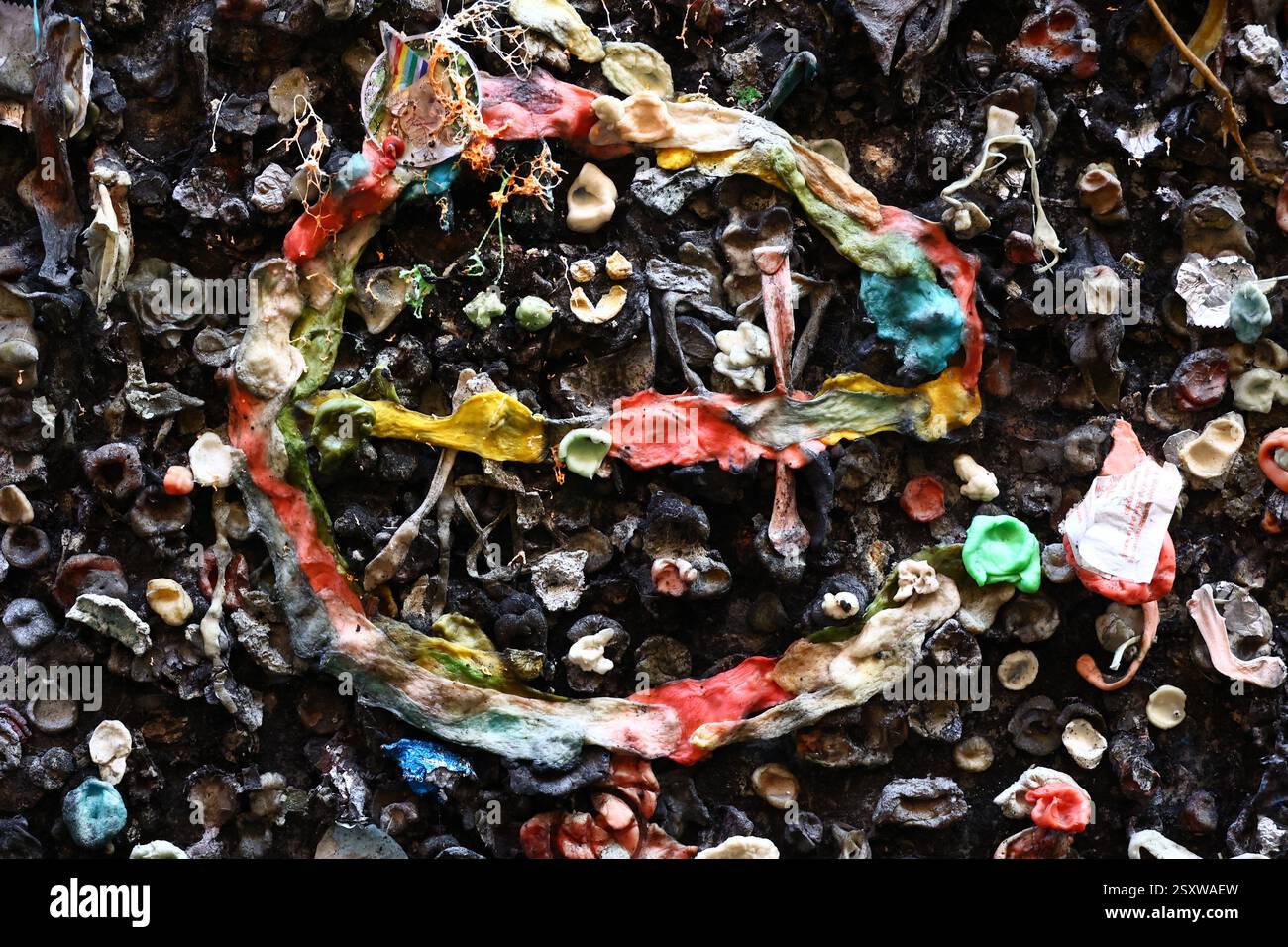 San Luis Obispo, Slo County, California, USA. 18th February, 2025 ...