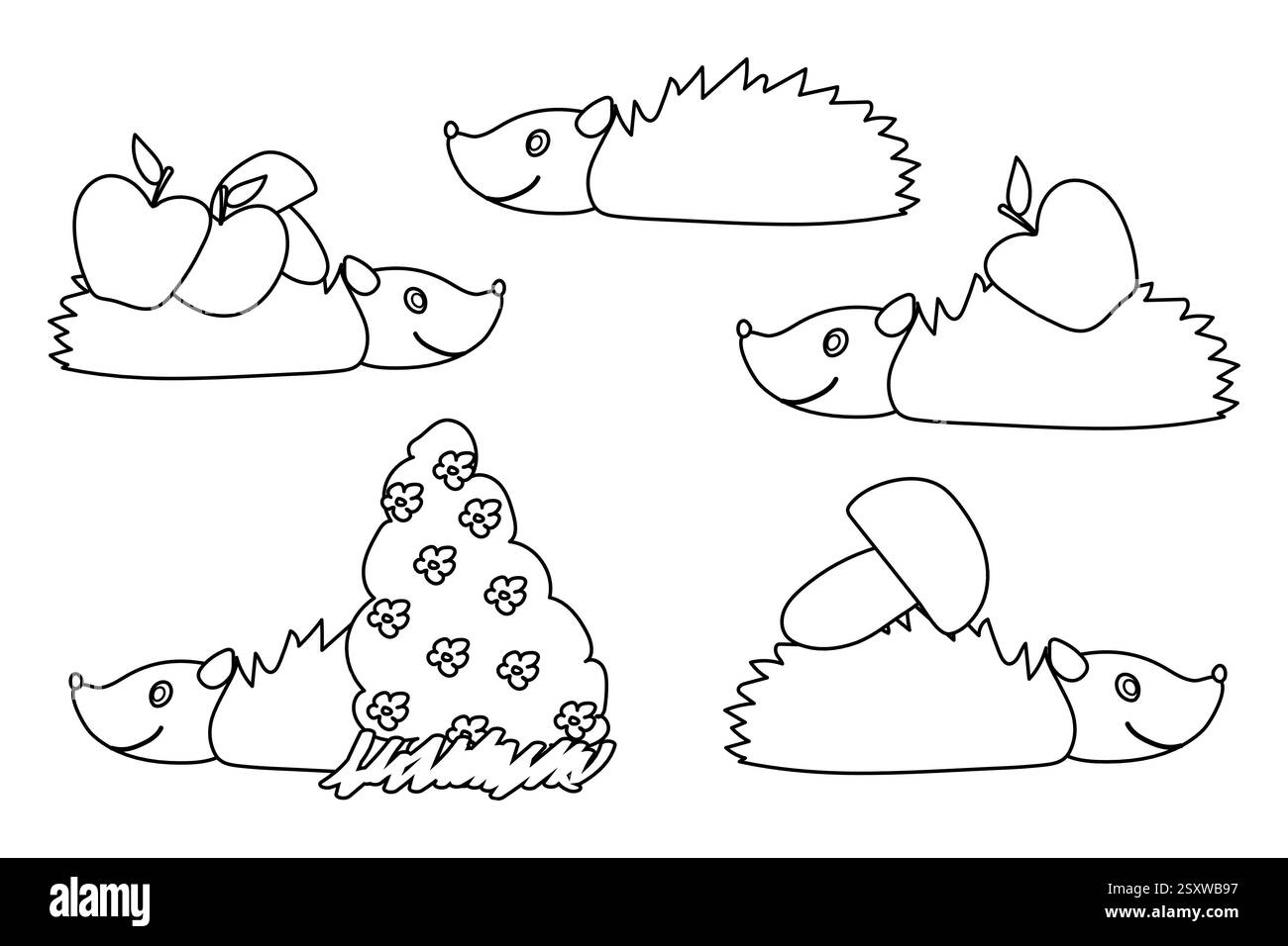 Black and white line art of adorable hedgehogs carrying apples ...