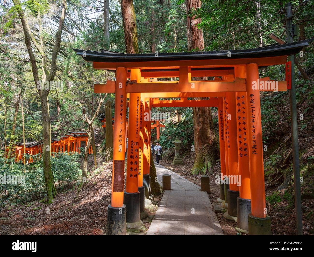 View of the vermilion torii gates at the Fushimi Inari, an important ...