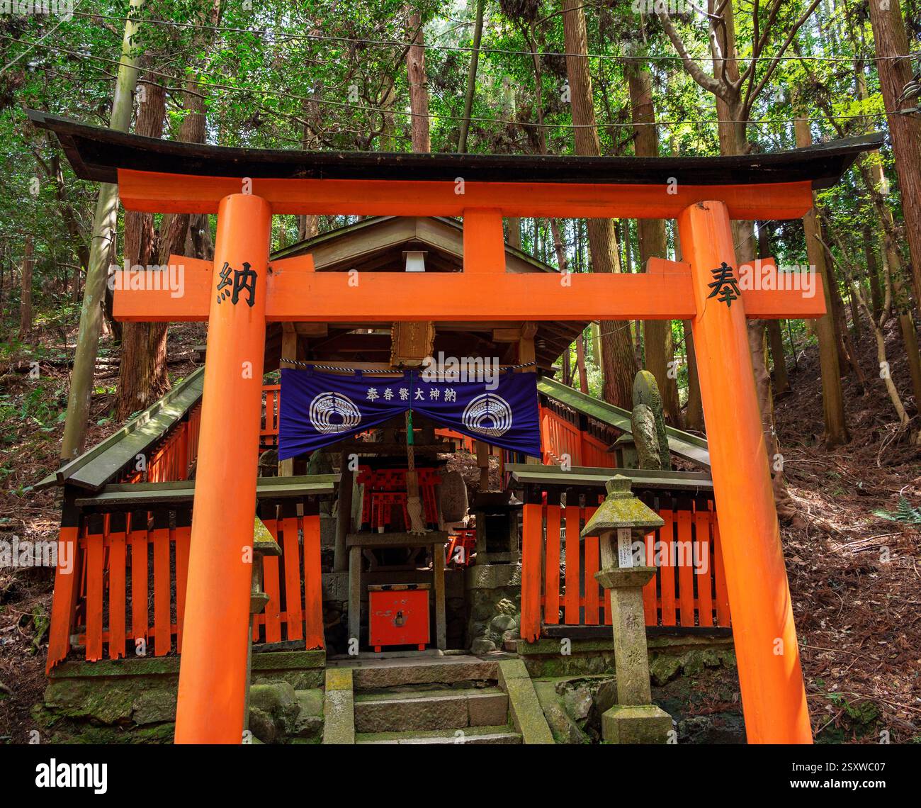 View of the vermilion torii gates at the Fushimi Inari, an important ...