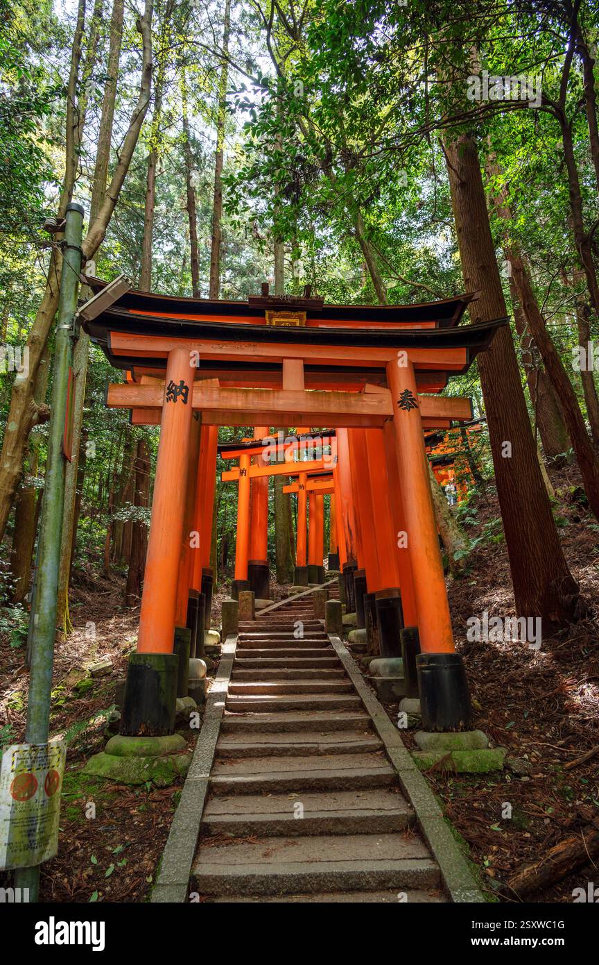 View of the vermilion torii gates at the Fushimi Inari, an important ...