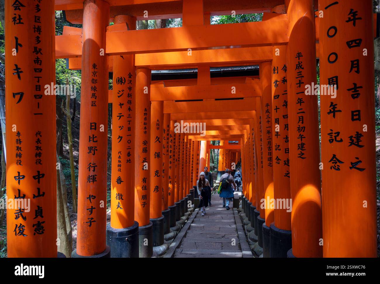 View of the vermilion torii gates at the Fushimi Inari, an important ...