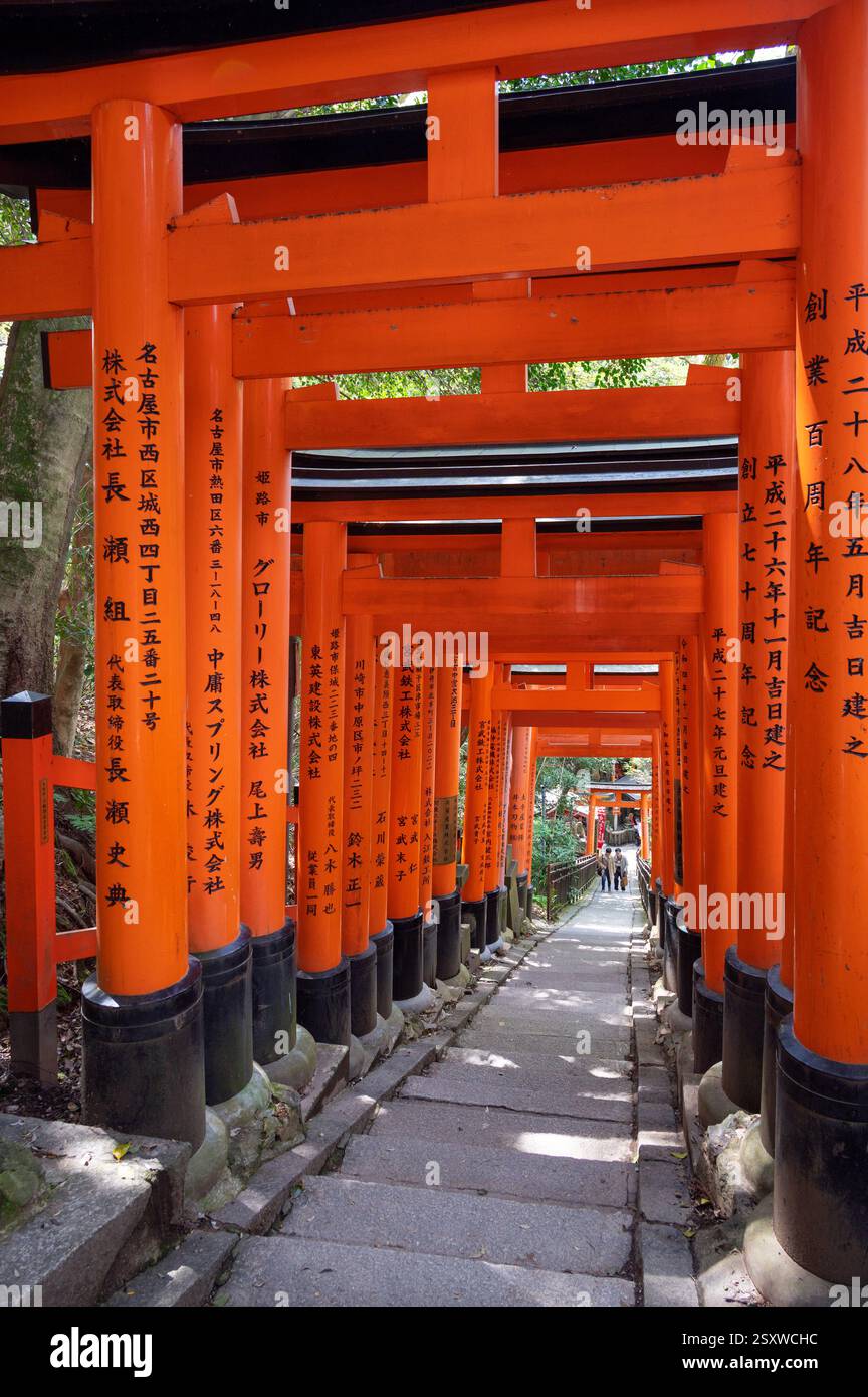 View of the vermilion torii gates at the Fushimi Inari, an important ...