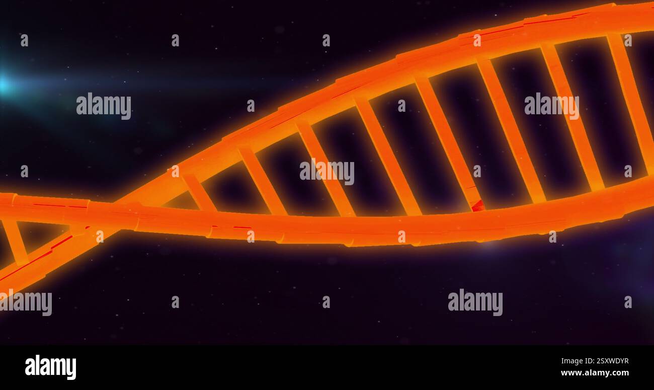 Image of orange dna strand over dark background Stock Photo - Alamy
