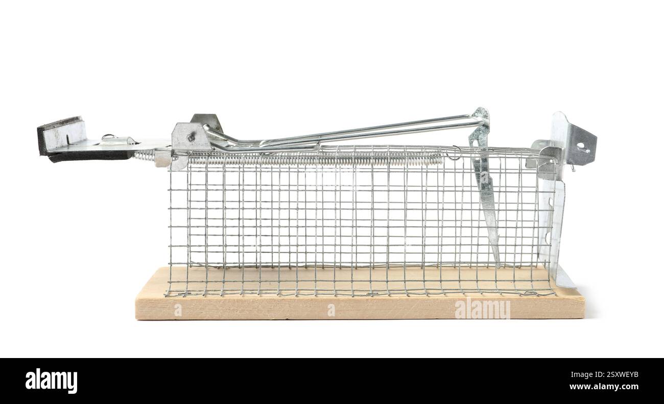 One empty mouse trap isolated on white Stock Photo - Alamy