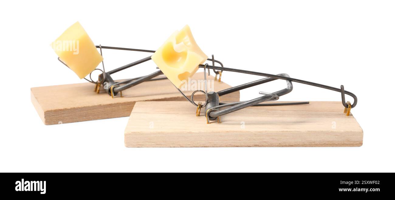 Two spring-loaded bar mousetraps with pieces of cheese isolated on ...