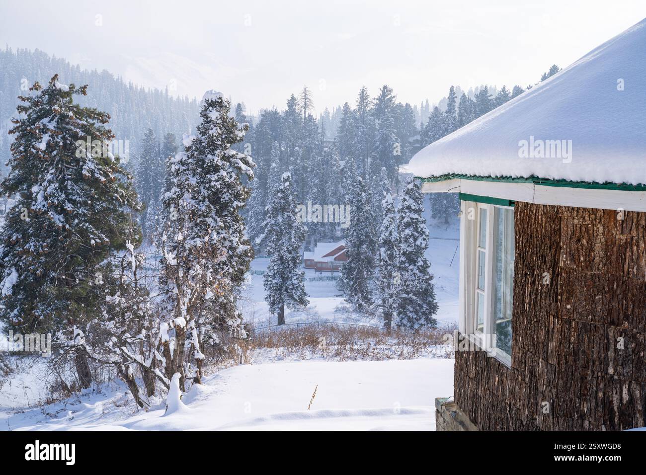 wooden cabin made of deodar wood with glass windows to out of focus ...